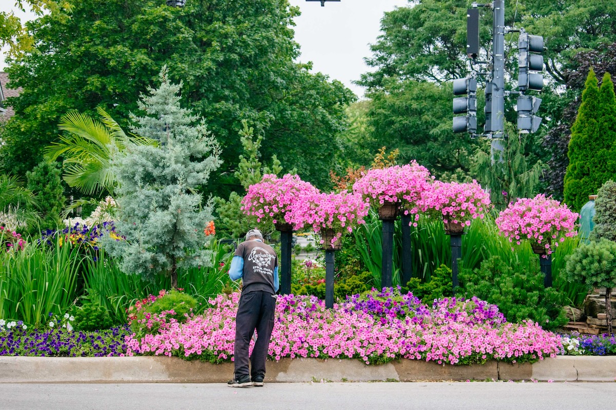 Garden Quick Start Guide - Gethsemane Garden Center