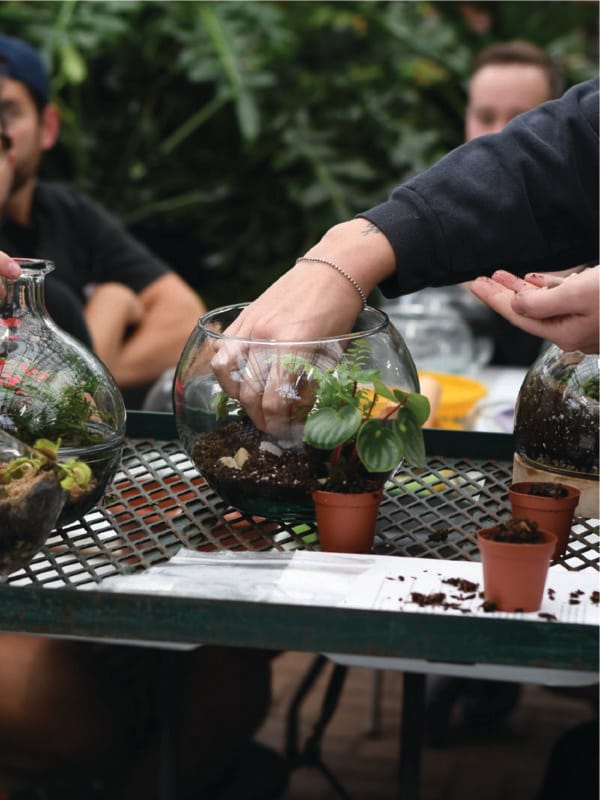 02/22/2026 - Macrame Hanger Workshop - Gethsemane Garden Center